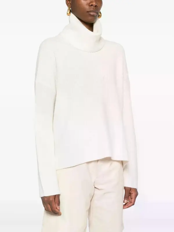 Fabiana Filippi Roll Neck Jumper