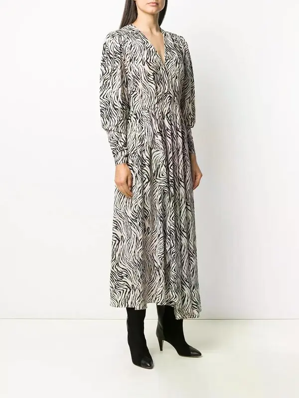 Isabel Marant Étoile Zebra-print Mid-length Dress
