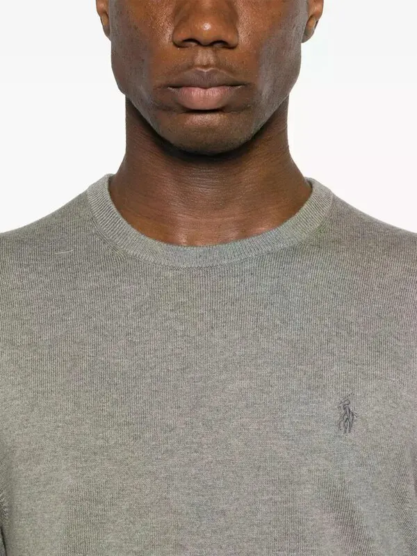 Polo Ralph Lauren Crew Neck Long Sleeve Jumper