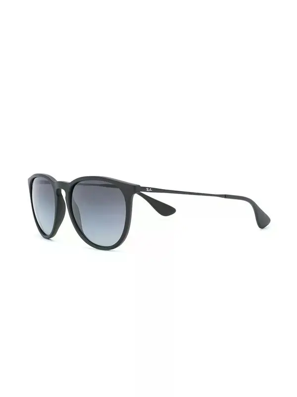 Ray-ban Erika Oval Frame Sunglasses