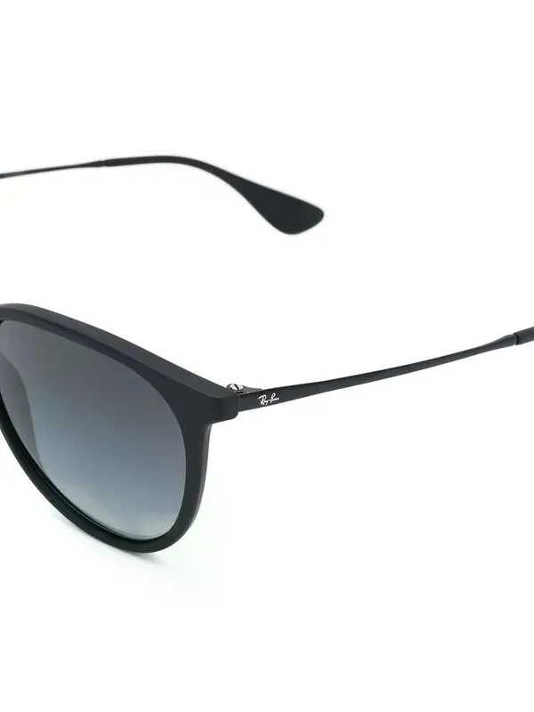 Ray-ban Erika Oval Frame Sunglasses