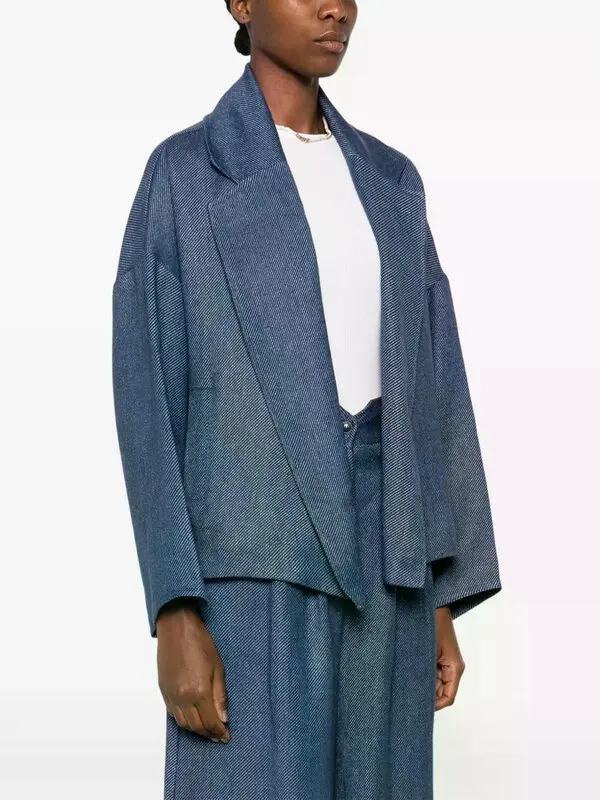 Dusan Notched-lapels Jacket