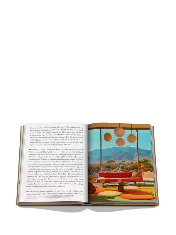 Assouline Palm Springs Book - Brown