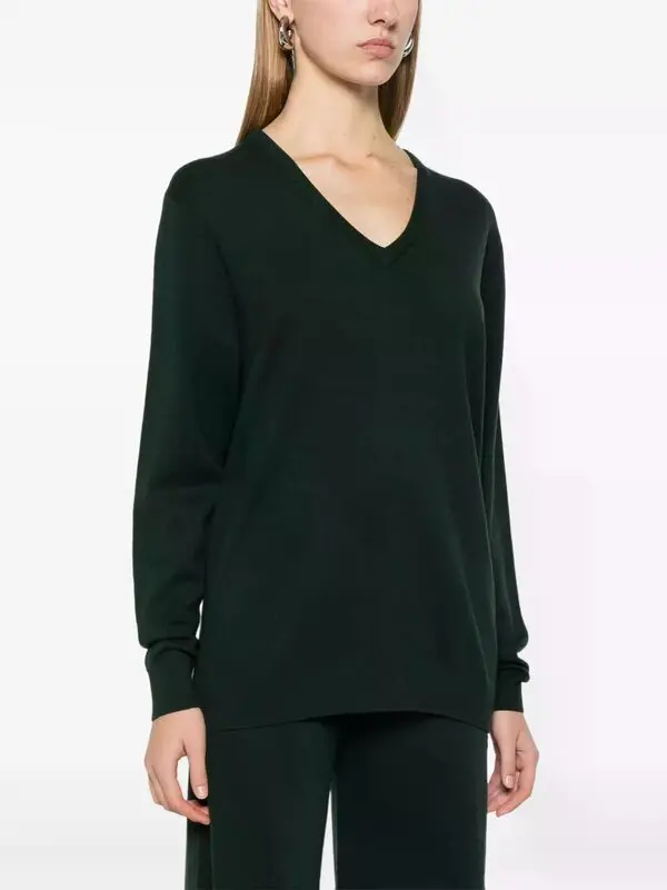 Max Mara Pevera V-neck Sweater