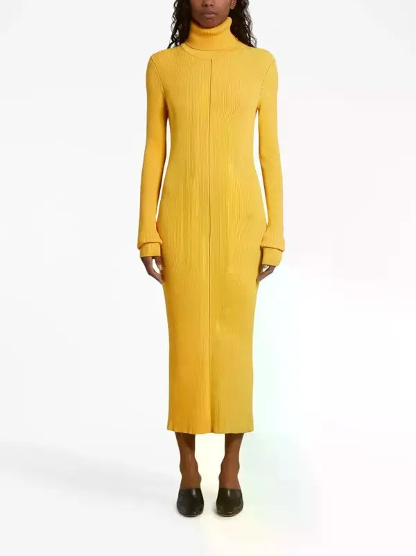 Marni Ribbed Knit High Neck Midi Dress