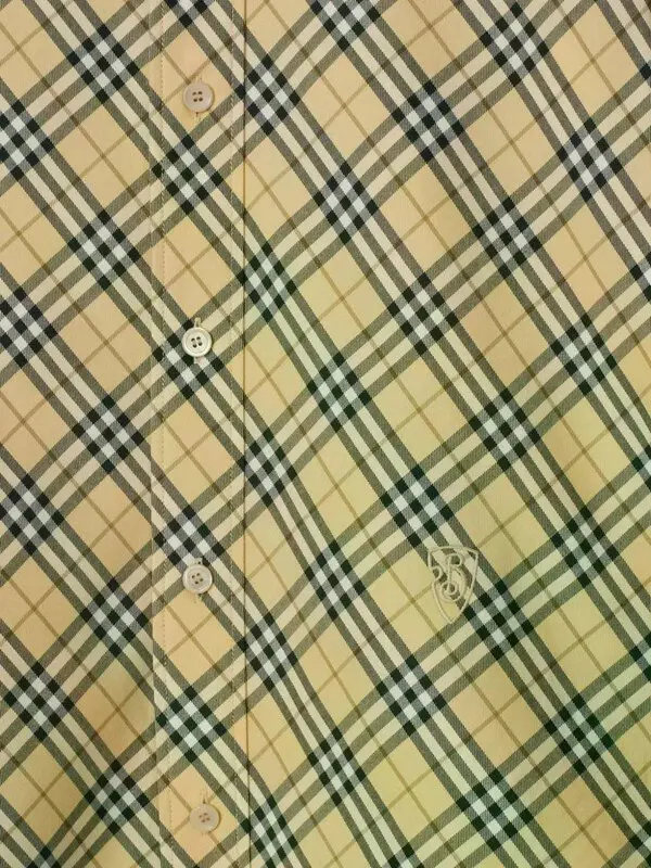 Burberry Checked Cotton Shirt