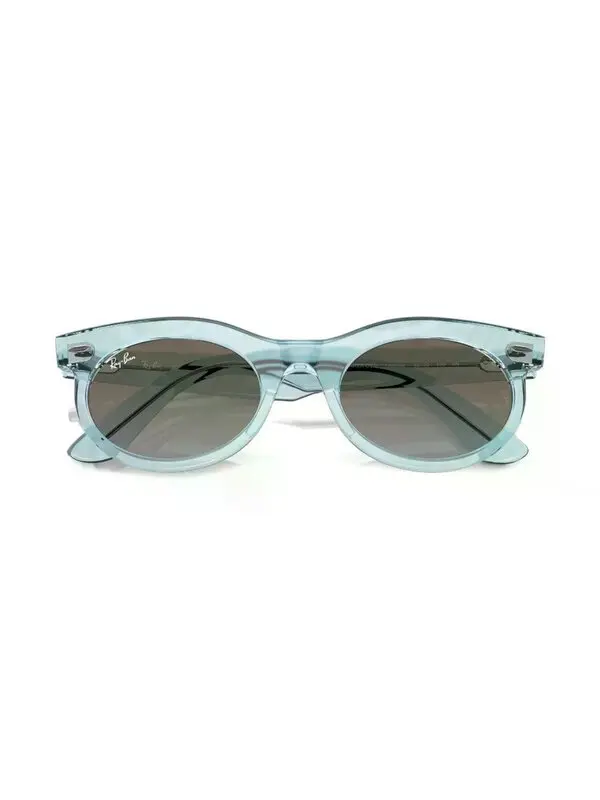 Ray-ban Wayfarer Oval Sunglasses
