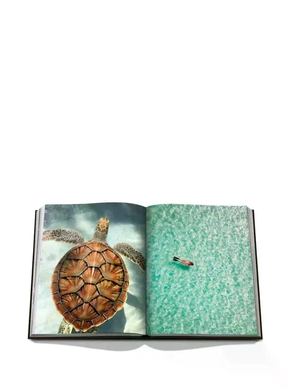 Assouline Jamaica Vibes - Black