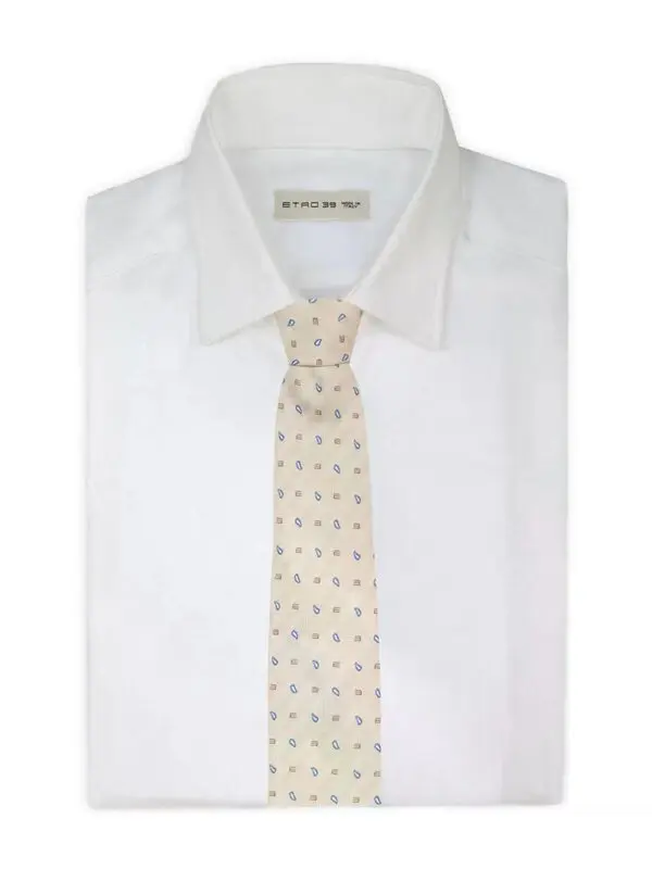Etro Paisley Embroidered Neck Tie - Neutrals