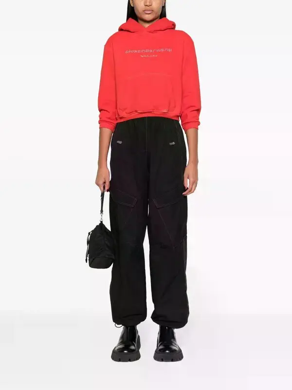 Alexander Wang Glitter Logo-print Cotton Hoodie