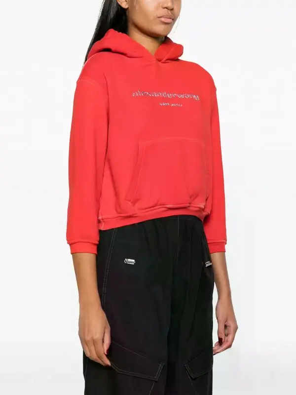 Alexander Wang Glitter Logo-print Cotton Hoodie