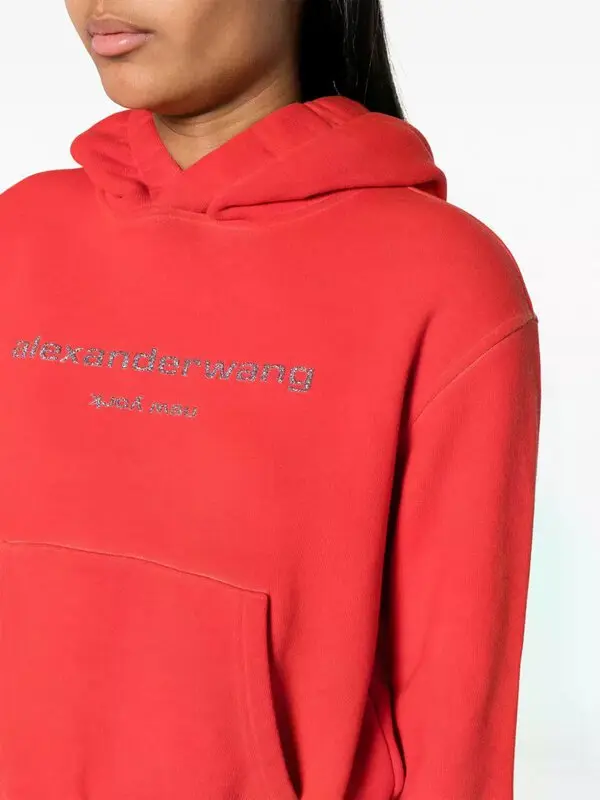 Alexander Wang Glitter Logo-print Cotton Hoodie