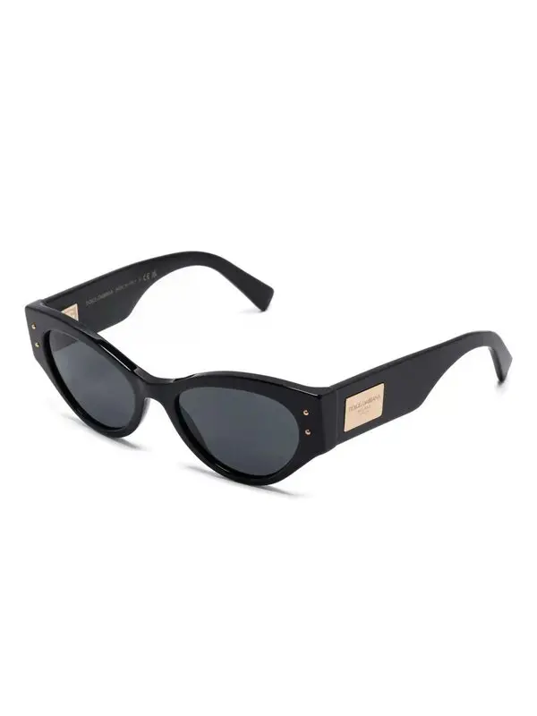 Dolce & Gabbana Dg4480 Sunglasses - Black