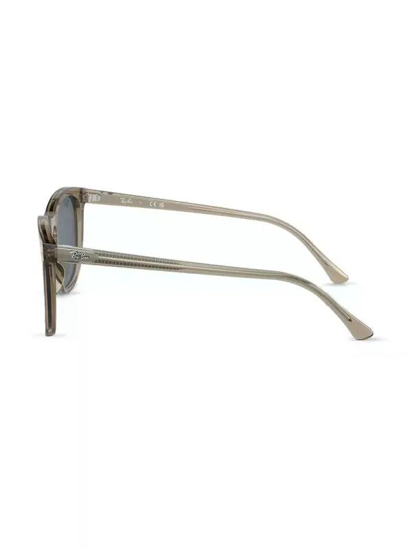 Ray-ban Wayfarer Sunglasses