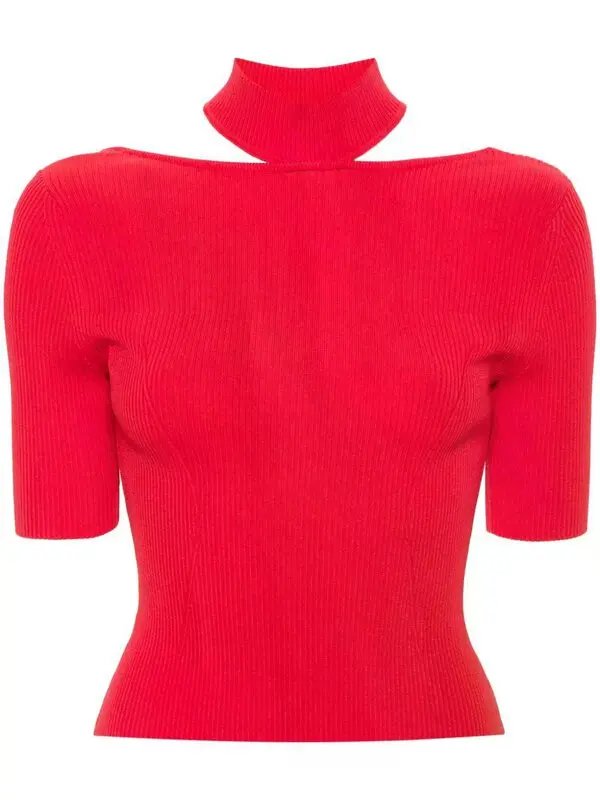 Cult Gaia Ribbed High Neck Top