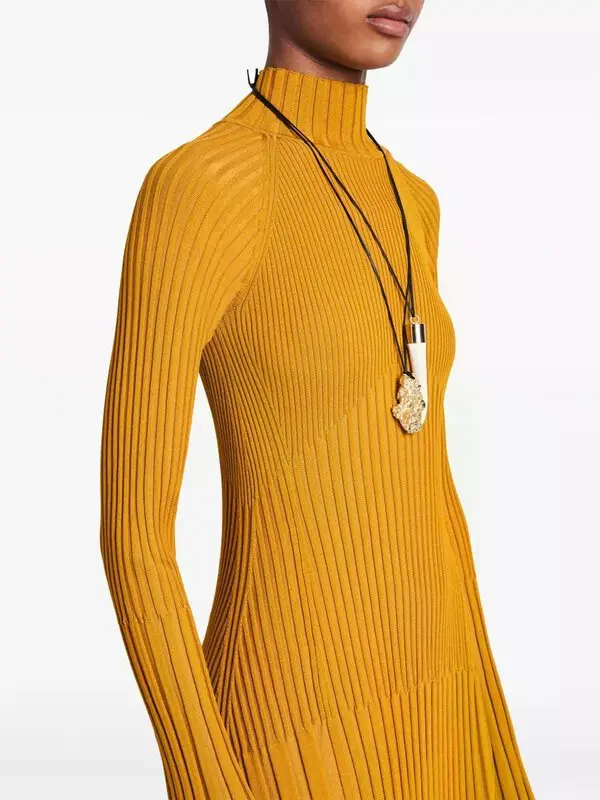 Proenza Schouler Ribbed Roll-neck Midi Dress