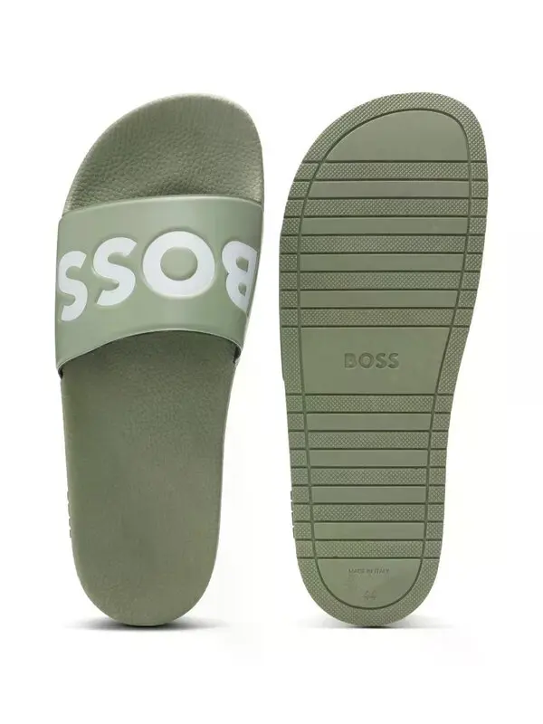 BOSS Aryeh Slides