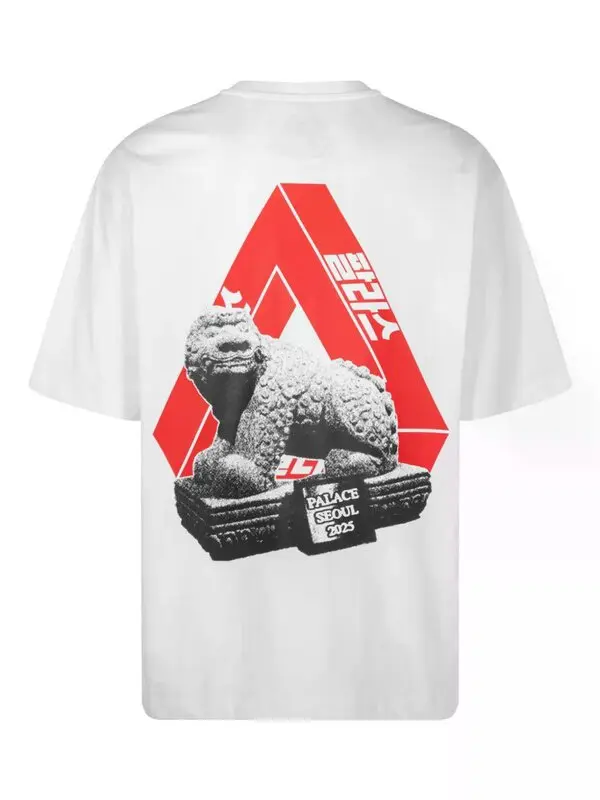 PALACE Seoul 2 Seoul Tri-ferg /black/grey Mar T-shirt - White