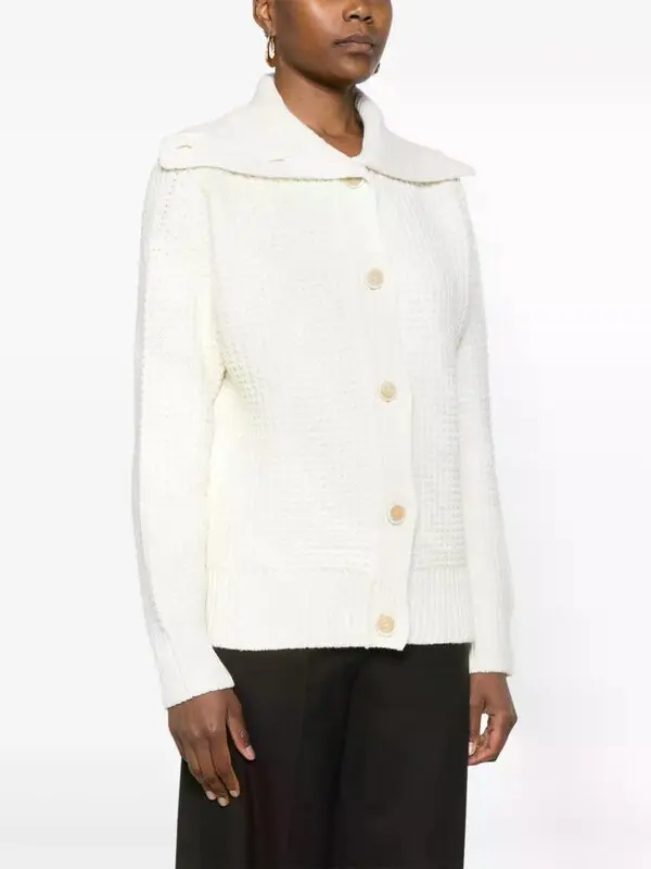 Fabiana Filippi Platinum Cardigan