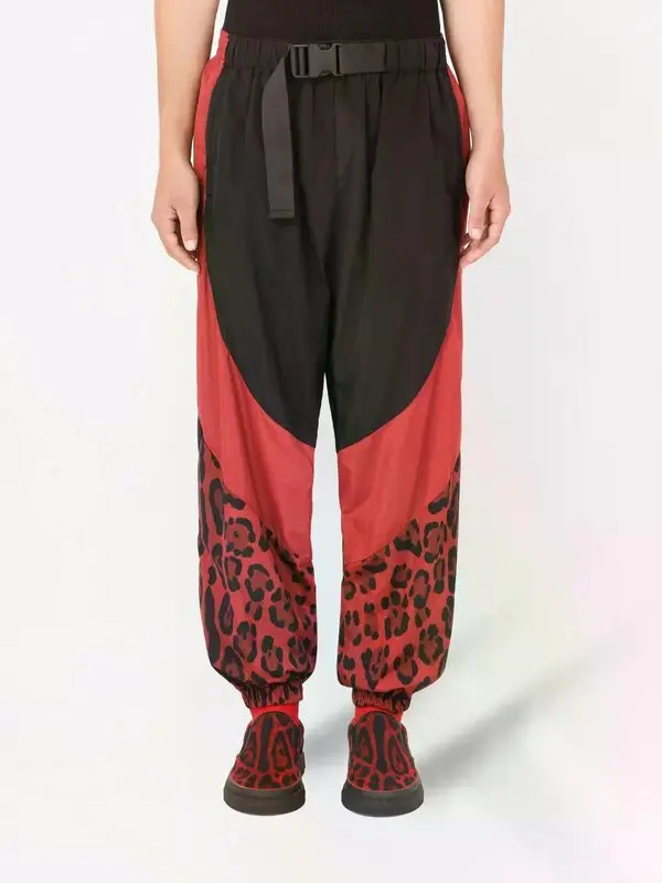 Dolce & Gabbana Panelled Leopard-print Trousers