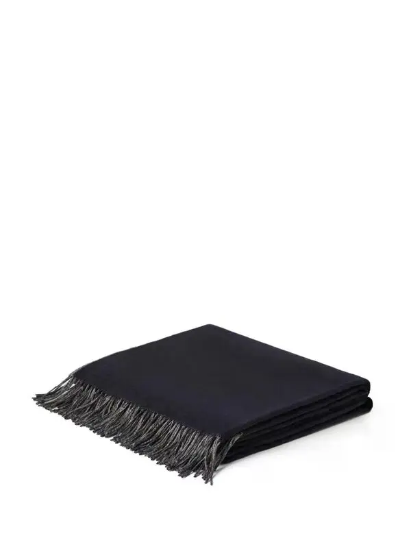 Brunello Cucinelli Fringed Silk Throw