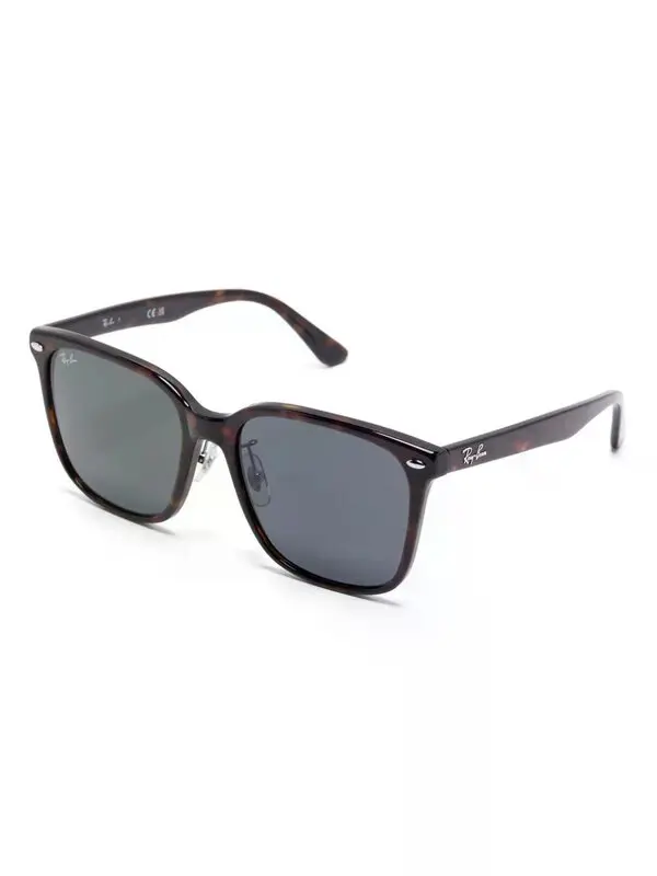 Ray-ban Tortoiseshell Full Rim Sunglasses