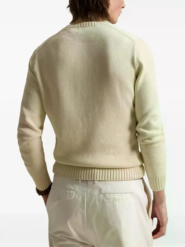 Polo Ralph Lauren Crew Neck Embroidered Jumper - Neutrals