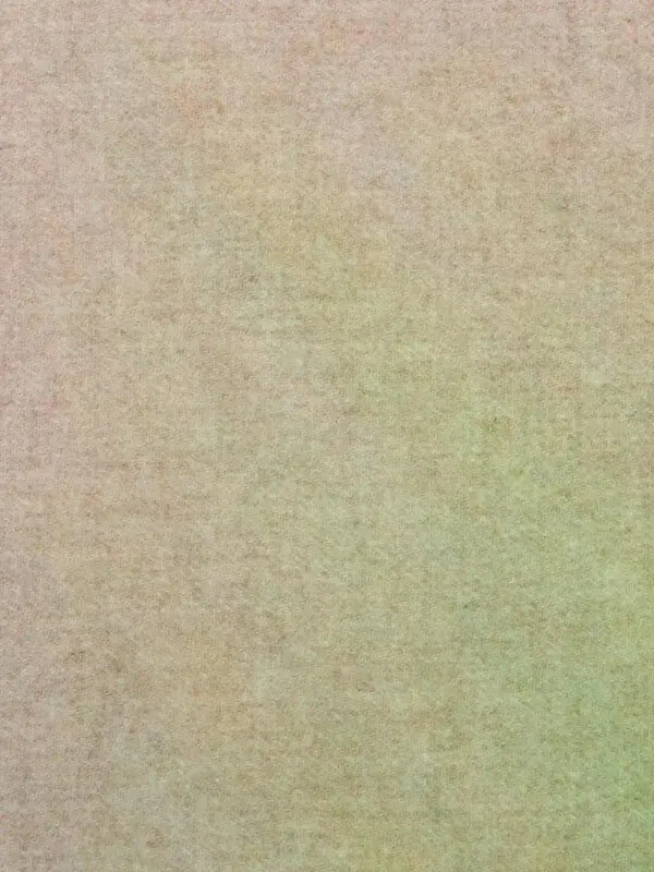 Acne Studios Wool Fringed-edge Scarf - Neutrals