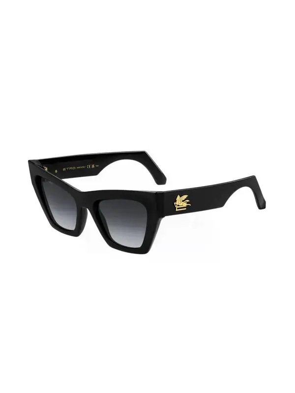 Etro Acetate Square Frame Sunglasses