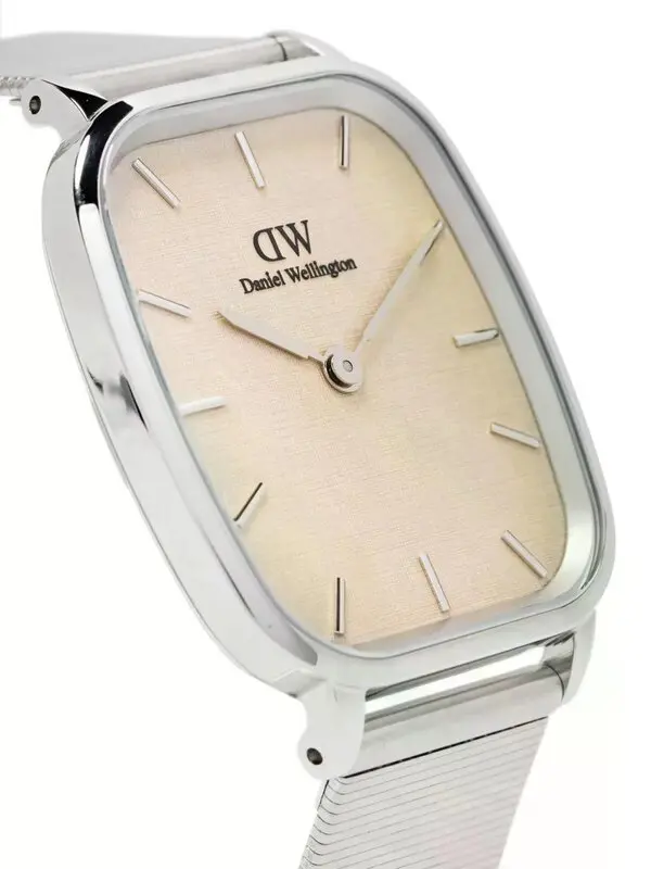 DANIEL WELLINGTON Stainless Steel Mesh Strap Watch