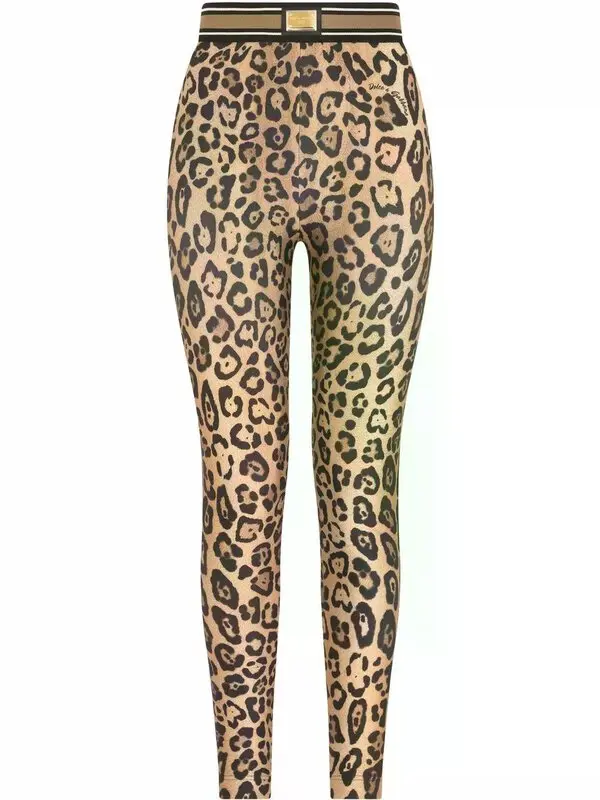 Dolce & Gabbana Leopard-print Jersey Leggings