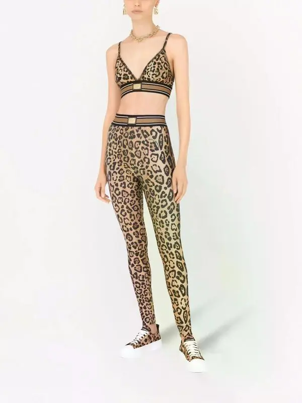 Dolce & Gabbana Leopard-print Jersey Leggings