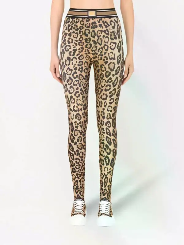 Dolce & Gabbana Leopard-print Jersey Leggings