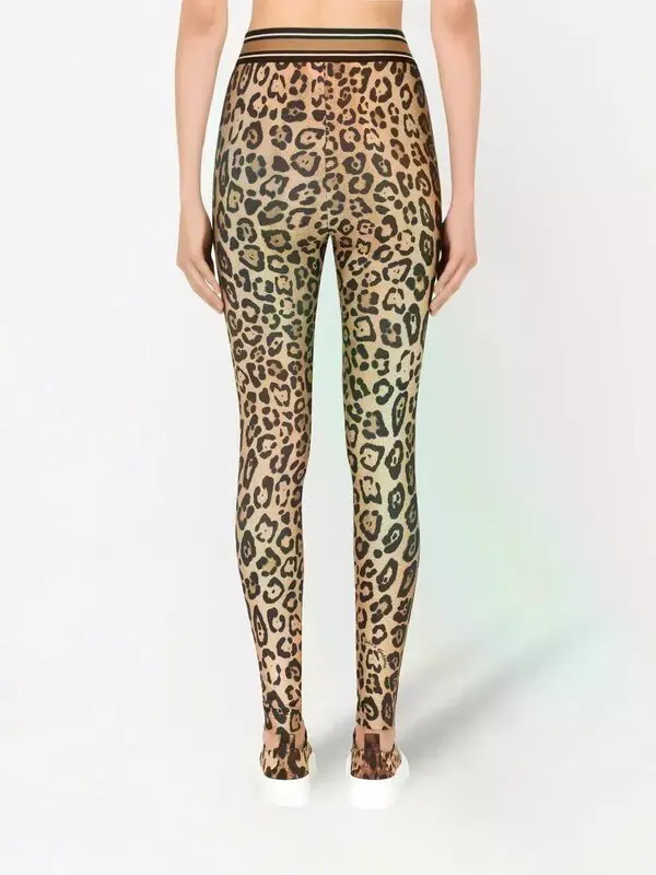Dolce & Gabbana Leopard-print Jersey Leggings