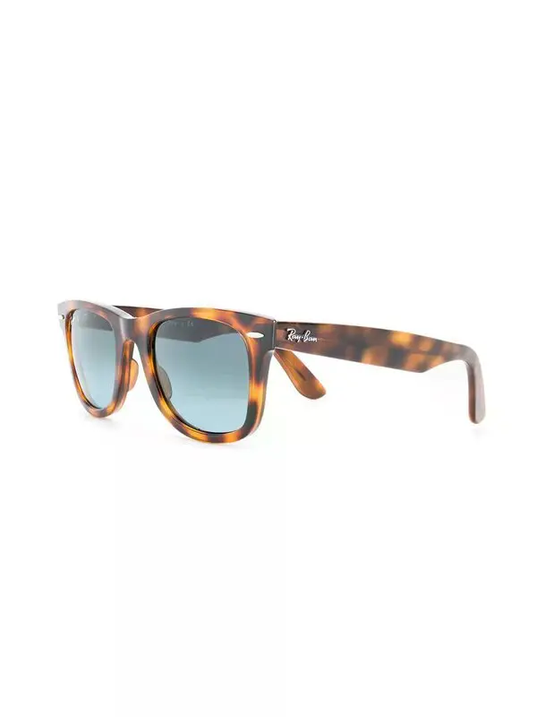 Ray-ban Wayfarer Sunglasses - Brown
