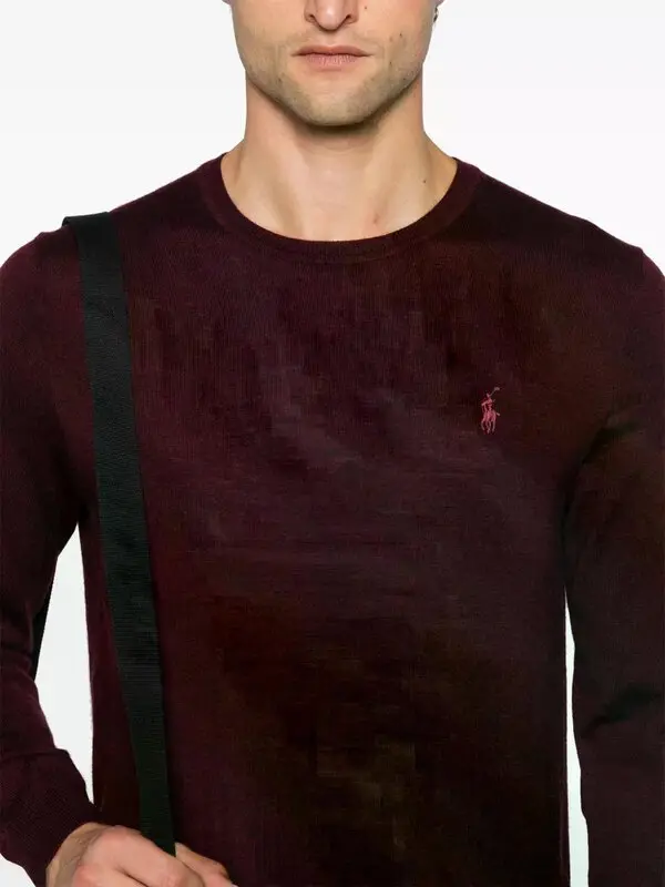 Polo Ralph Lauren Wool Knit Crew Neck Sweater With Embroidered Pony - Red