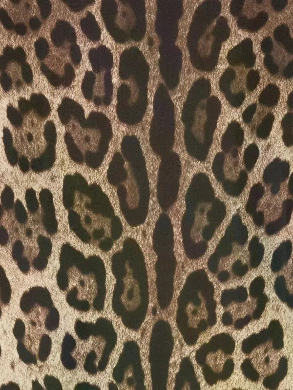 Dolce & Gabbana Leopard-print Silk Scarf - Black