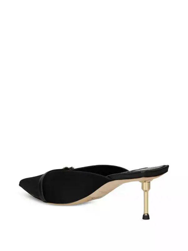 Elisabetta Franchi Pointed-toe Stiletto Mules With Buckle Detail