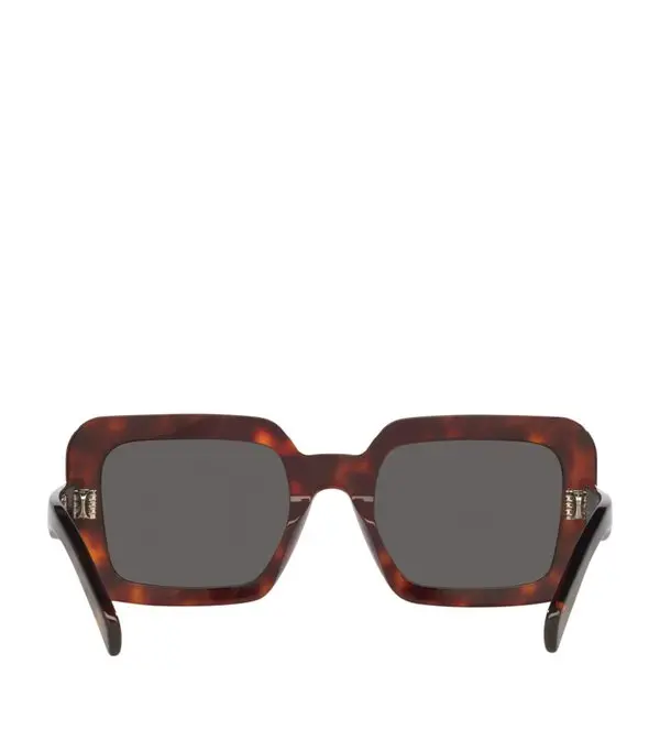 Celine Square Tortoiseshell Triomphe Sunglasses - Brown