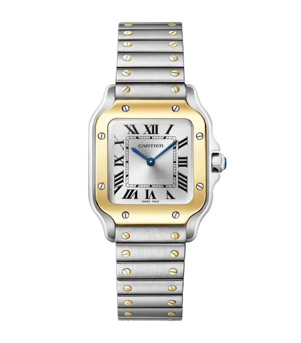 Cartier Santos De Watch In Steel And Yellow Gold - Blue