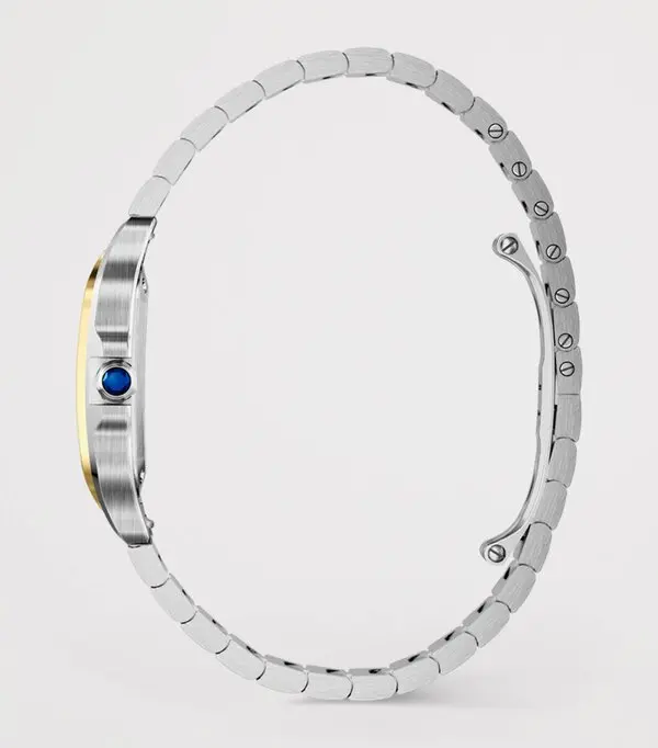 Cartier Santos De Watch In Steel And Yellow Gold - Blue
