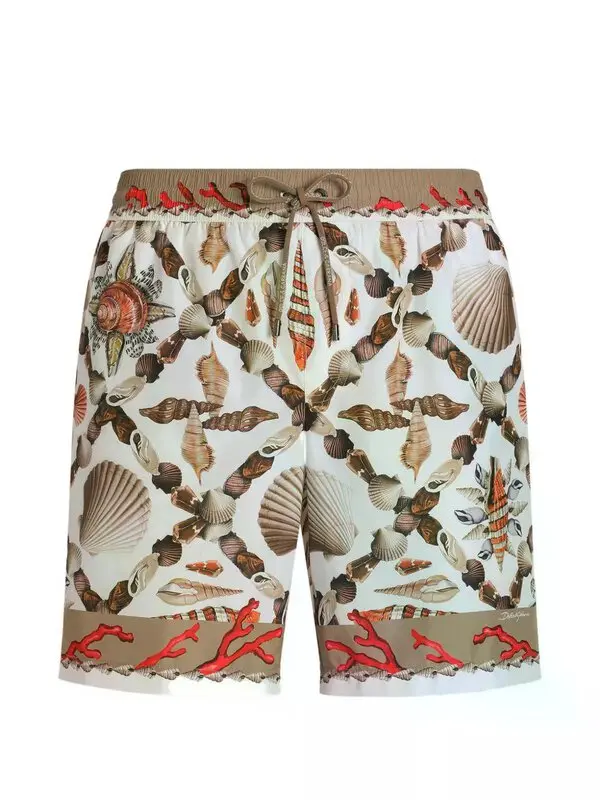 Dolce & Gabbana Shell-print Swim Shorts - Neutrals