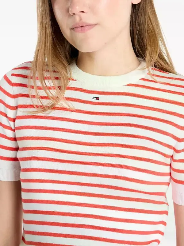 Tommy Hilfiger Striped Crewneck T-shirt