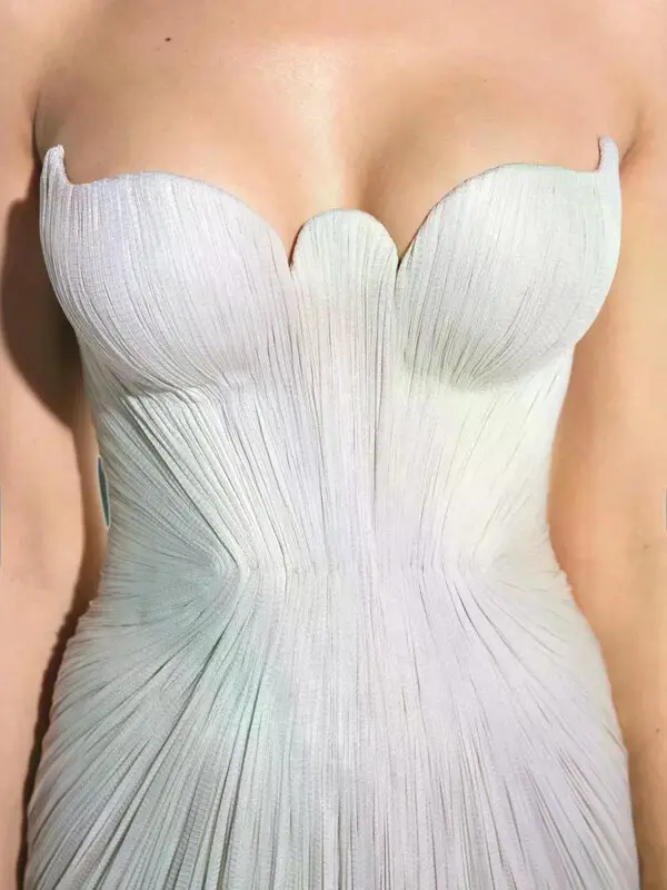 MARIA LUCIA HOHAN Strapless Pleated Gown