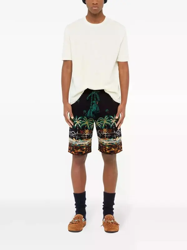 Alanui The Tale Of A Hawaiian Shorts