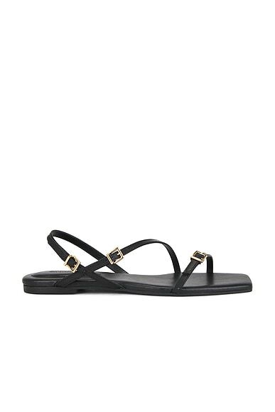 Simkhai Carey Leather Strappy Flat Sandal - Black
