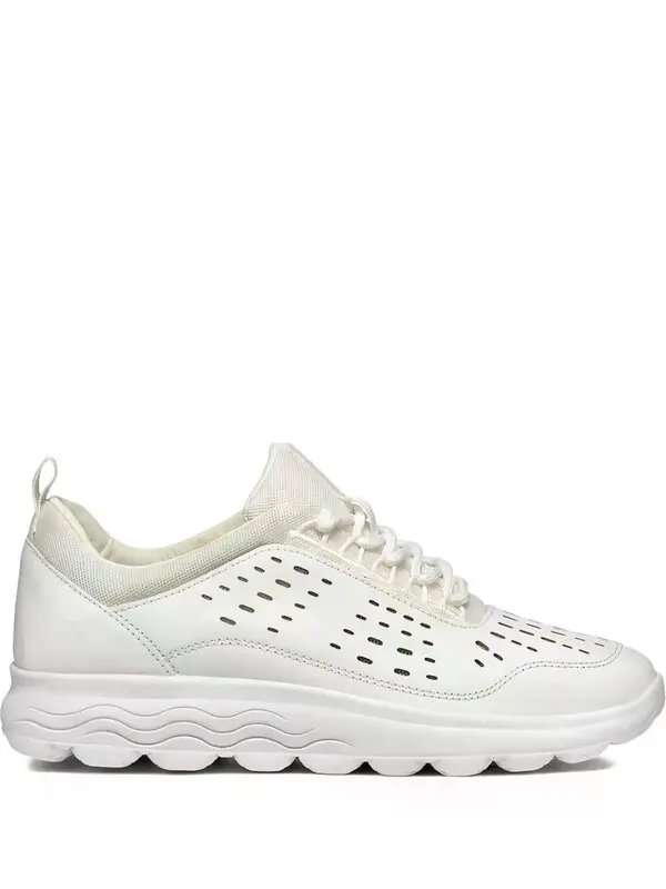 Geox Spherica Perforated Lace-up Sneakers