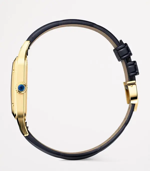 Cartier Santos-dumont Watch