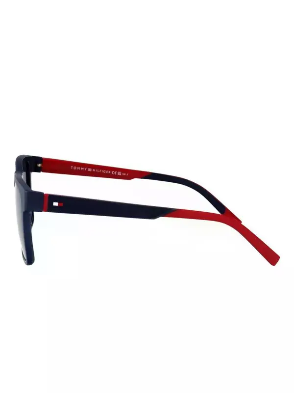 Tommy Hilfiger Wayfarer Sunglasses