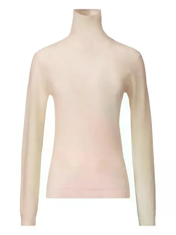 Fabiana Filippi Sequin Embellished Roll Neck Jumper